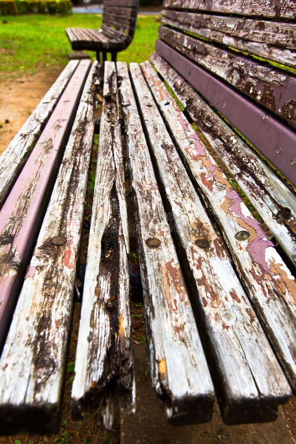 Old bench in an urban park stock image. Image of season - 39706827