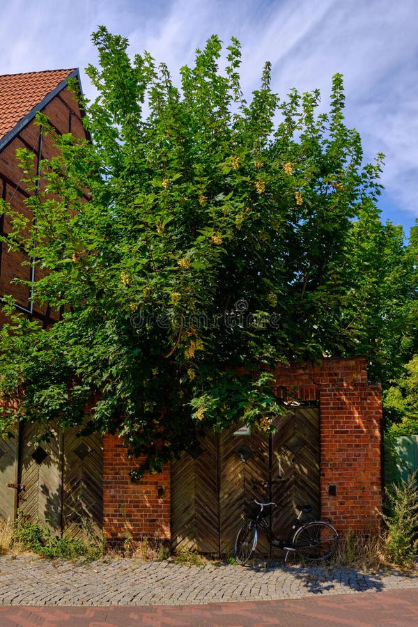 Old Bicycle in Front of a Run-down Yard Gate Stock Image - Image of ...