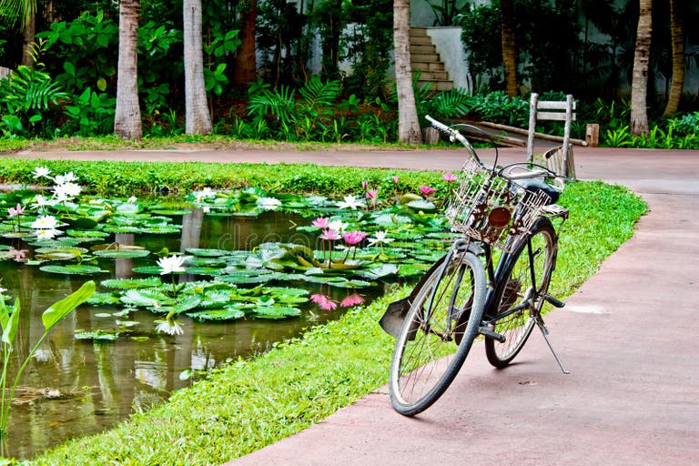 1,928 Lotus Wheel Stock Photos - Free & Royalty-Free Stock Photos from ...