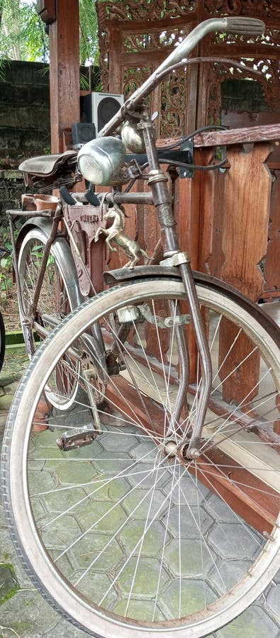 Rare Bicycle Lovers Stock Photos - Free & Royalty-Free Stock Photos ...
