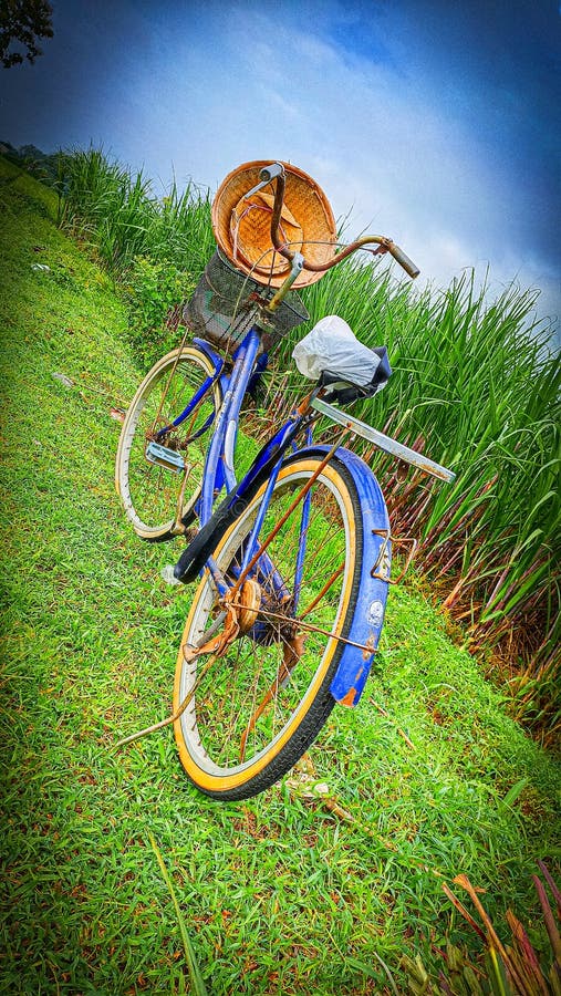 Old Bike for Carrying Harvest in Rural Area in East Java Indonesia ...