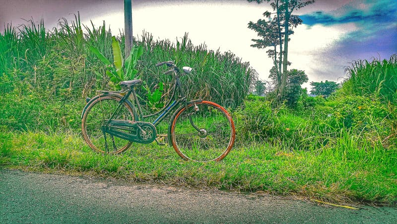 Old Bike for Carrying Harvest in Rural Area in East Java Indonesia ...