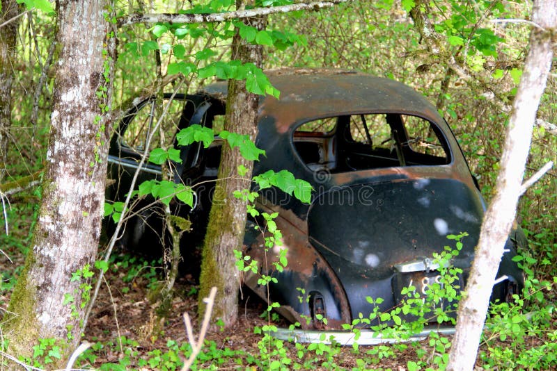 Old Black Vintage Car in a Yard between Trees Stock Image - Image of ...