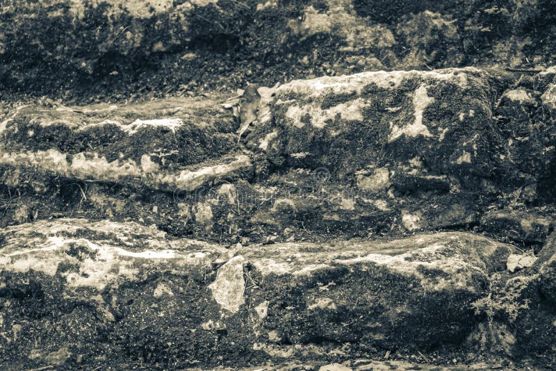 Ancient Mayan Site Texture Temple Ruins Pyramids Artifacts Muyil Mexico ...