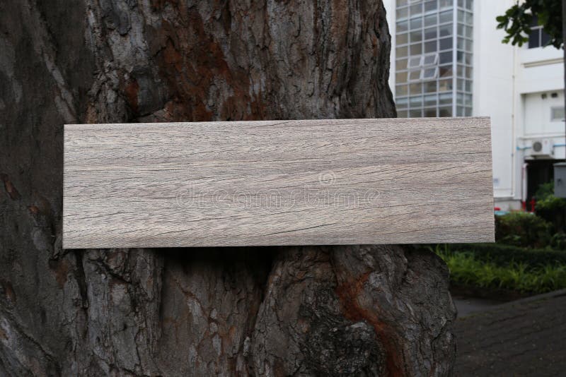 Old Blank Wooden Sign Hanging on the Tree Stock Image - Image of long ...