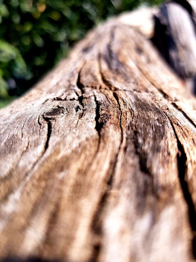 Old Bleached Wood with Cracks Stock Photo - Image of grain, texture ...