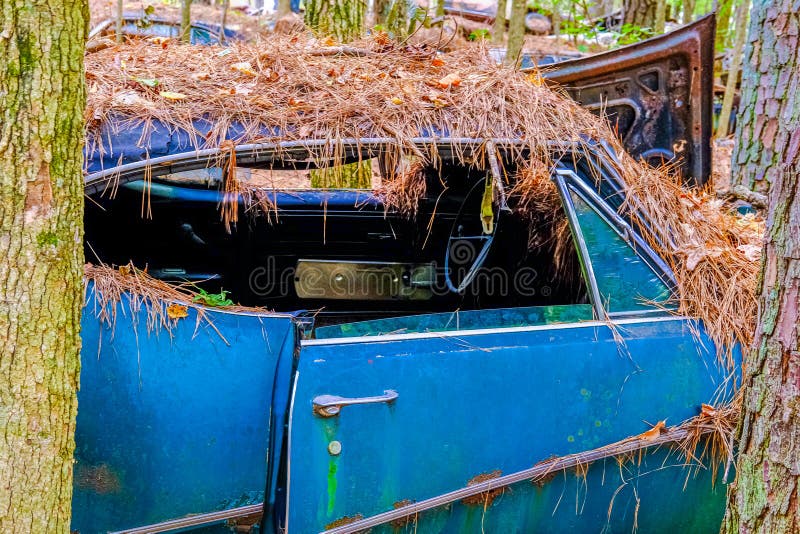 Old Blue Car in Trees stock image. Image of ruined, rusty - 166488587
