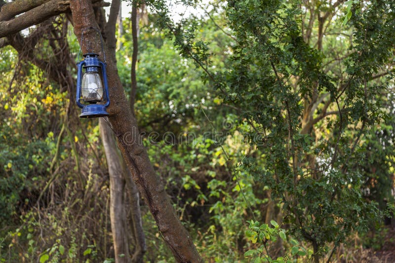 Old blue Lamp on the Tree. stock photo. Image of landscape - 69561756