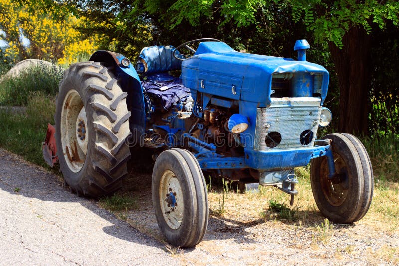 Blue Tractor in Farm Napier Grass. Tractor Working on the Farm in the ...
