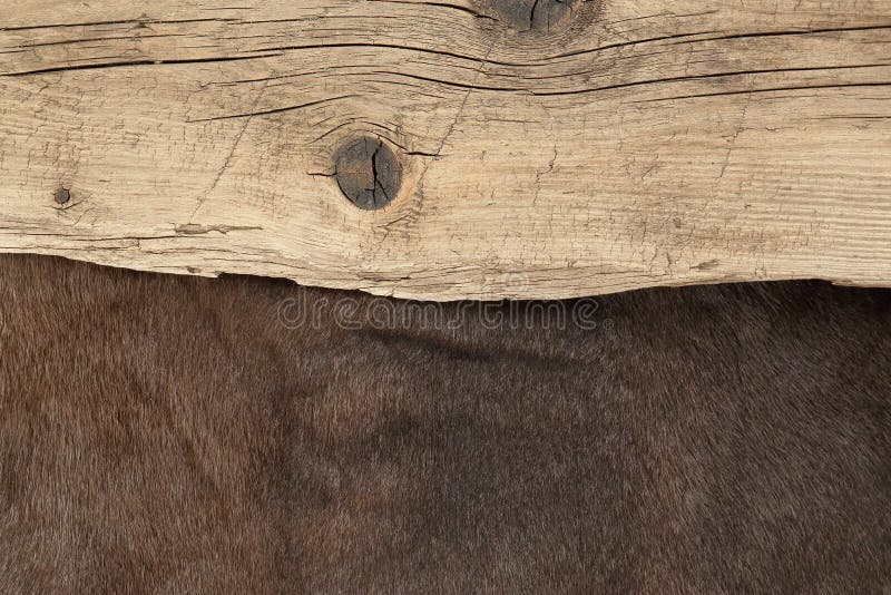 Old Boards and Reindeer Fur Stock Photo - Image of cracked, broken ...