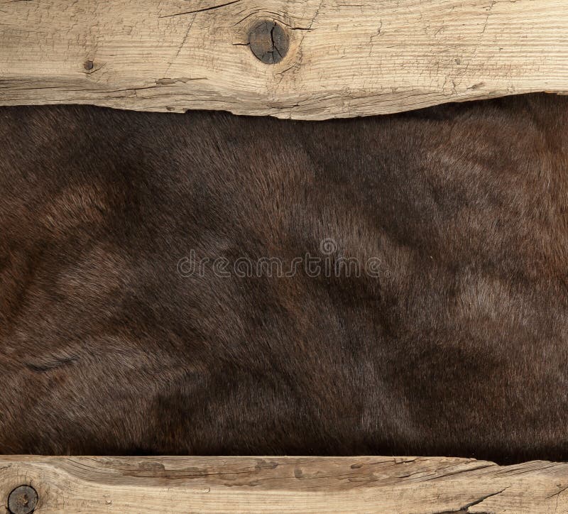 Old Boards and Reindeer Fur Stock Image - Image of retro, pelage: 55317981