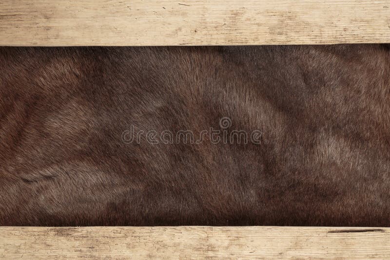 Old Boards and Reindeer Fur Stock Photo - Image of nature, mammal: 58877294