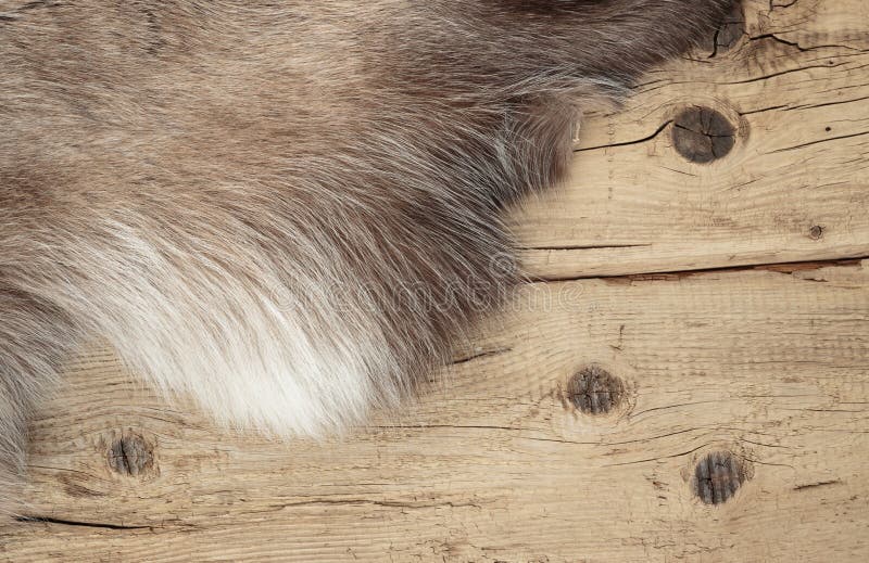 Old Boards and Reindeer Fur Stock Image - Image of pattern, plate: 58877395