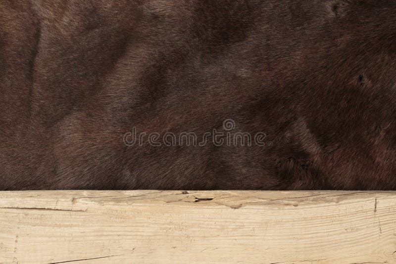 Old Boards and Reindeer Fur Stock Photo - Image of hides, driftwood ...