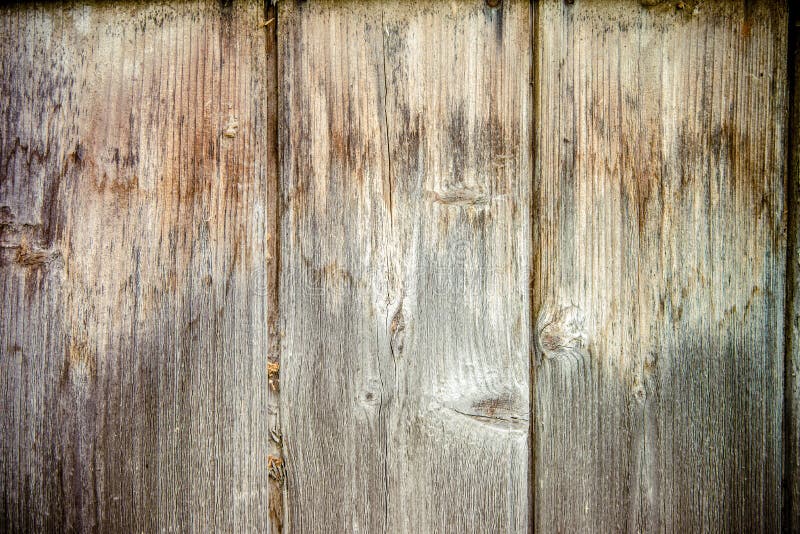 Old Boards Vertically Standing Pine Stock Photo - Image of planks ...