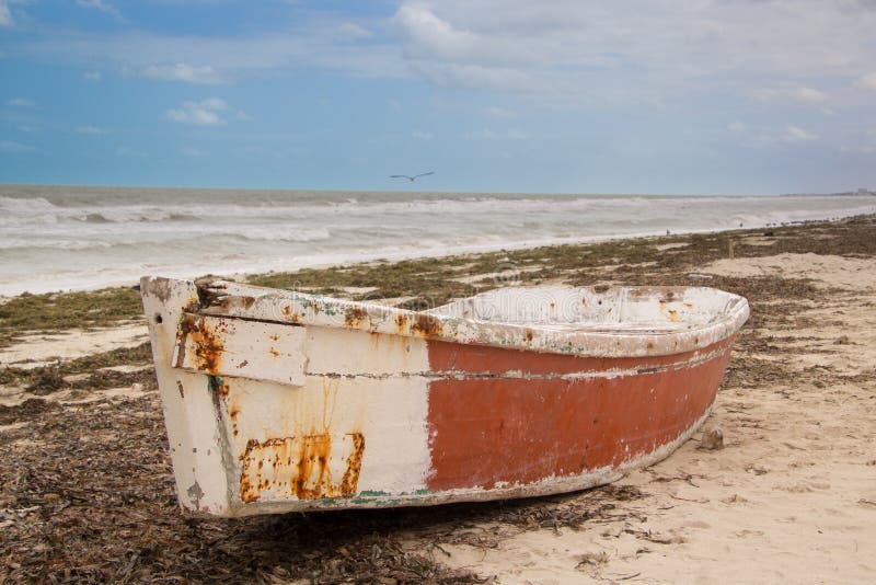 Rust Tin Can on the Beach. Garbage on the Beach Stock Photo - Image of ...