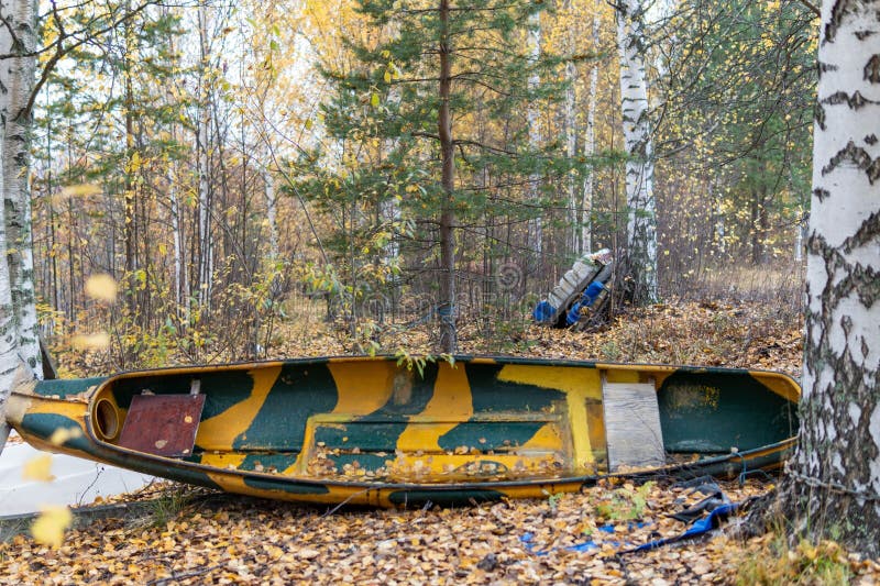 Old Boat Sits in a Tranquil Forest Setting Surrounded by Lush Foliage ...
