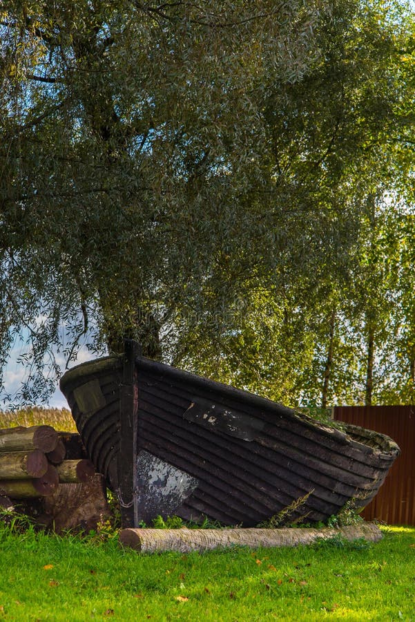 Old boat under a tree stock image. Image of restful, reflect - 51534029