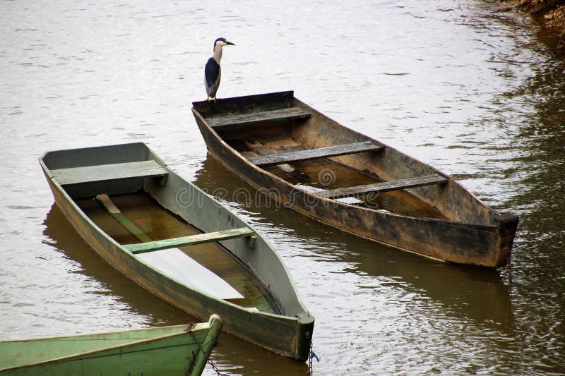 Old Boats Parked Inside River Stock Photo - Image of full, static: 83608266