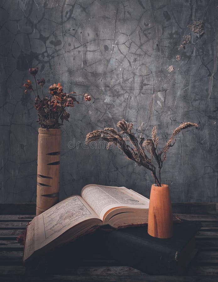 Old Book on Classic Still Life Photography Stock Photo - Image of ...