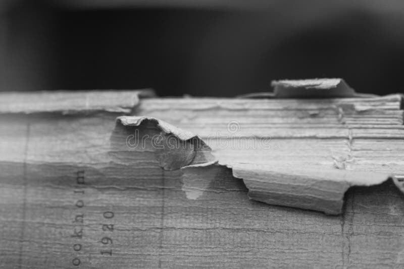 Old Book with Frayed Cloth Hardcover Stock Image - Image of isolated ...