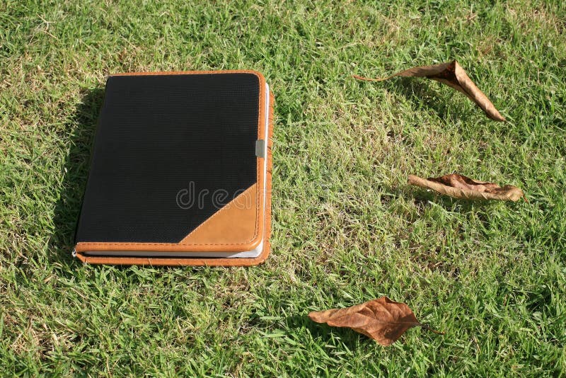 Old Book Laying on Green Grasess with Dry Leaves Stock Image - Image of ...