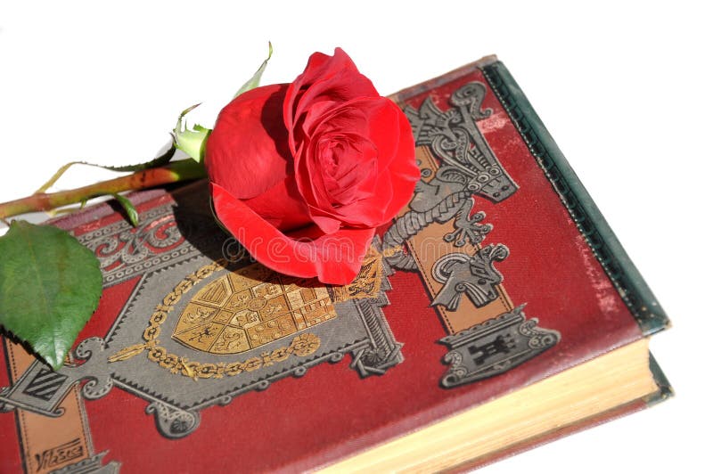 Old book and rose. stock photo. Image of flower, revival - 9172430
