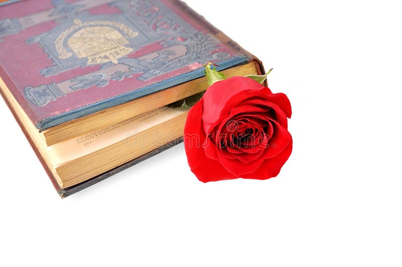 Old Book with Rose Over White. Stock Photo - Image of symbol, flower ...