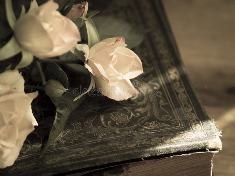 Old book and roses stock image. Image of antique, vintage - 113318759