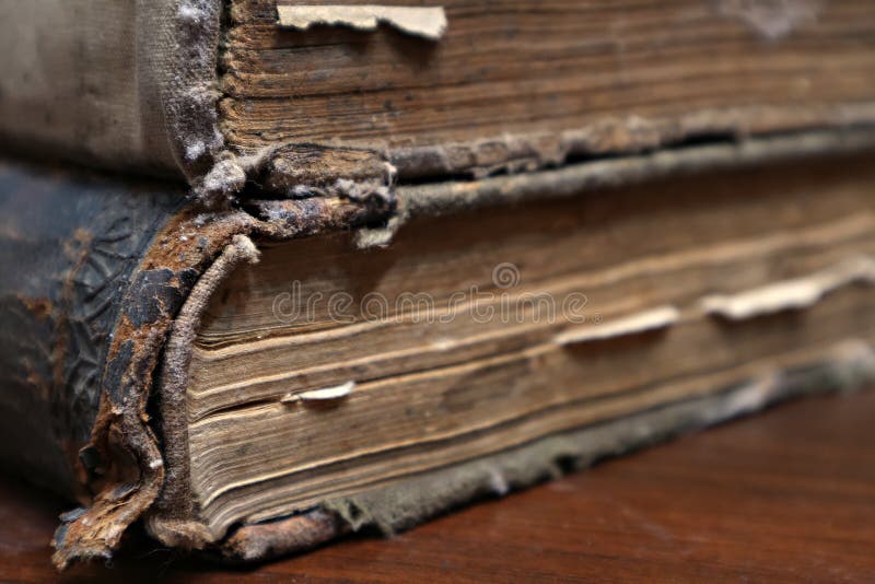 Old Book. Sheets of an Old Book. Macro Stock Photo - Image of history ...