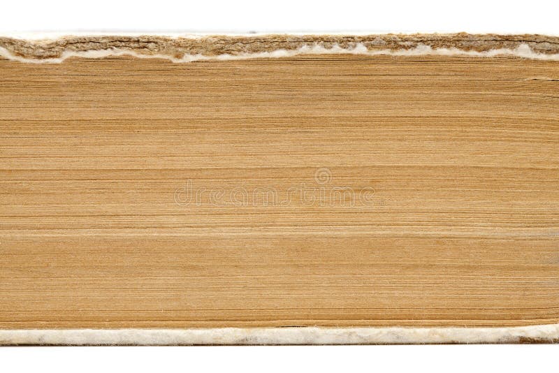 Old book texture stock photo. Image of pages, isolated - 23239214