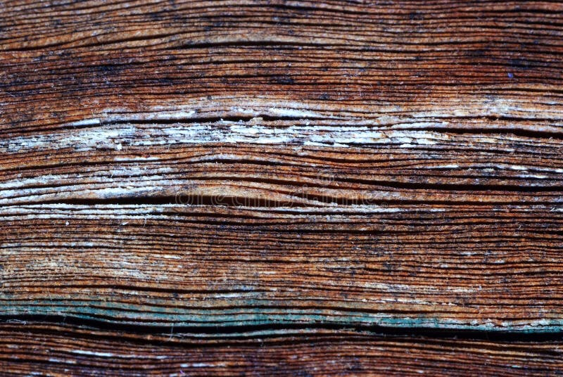 1,600+ Old book texture Free Stock Photos - StockFreeImages