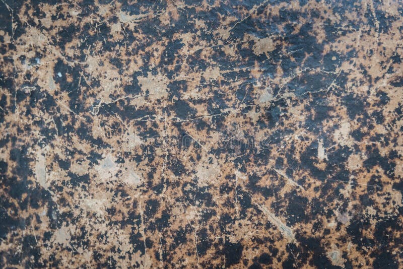 45,417 Front Page Pra Stock Photos - Free & Royalty-Free Stock Photos ...