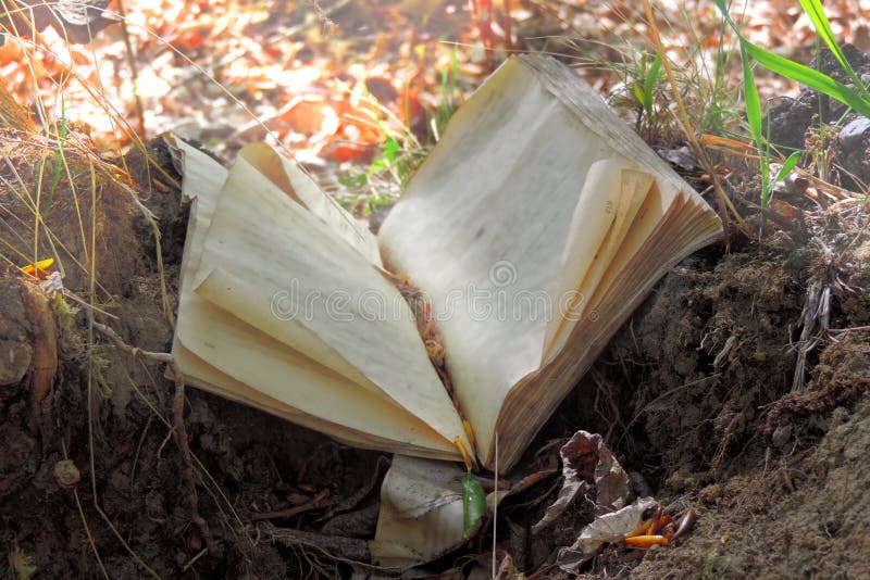 Old Book Thrown in the Forest or Park, Sheets with Blurry Text. Stock ...