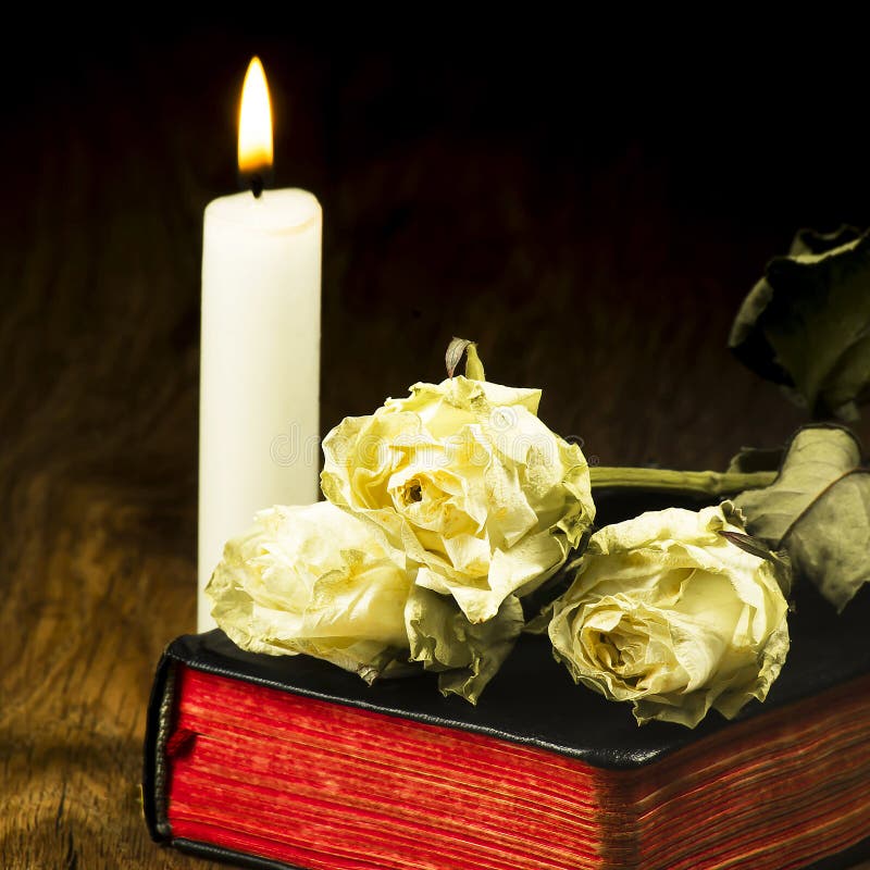 Old Book, Withered Roses, and a Burning White Candle Stock Image ...