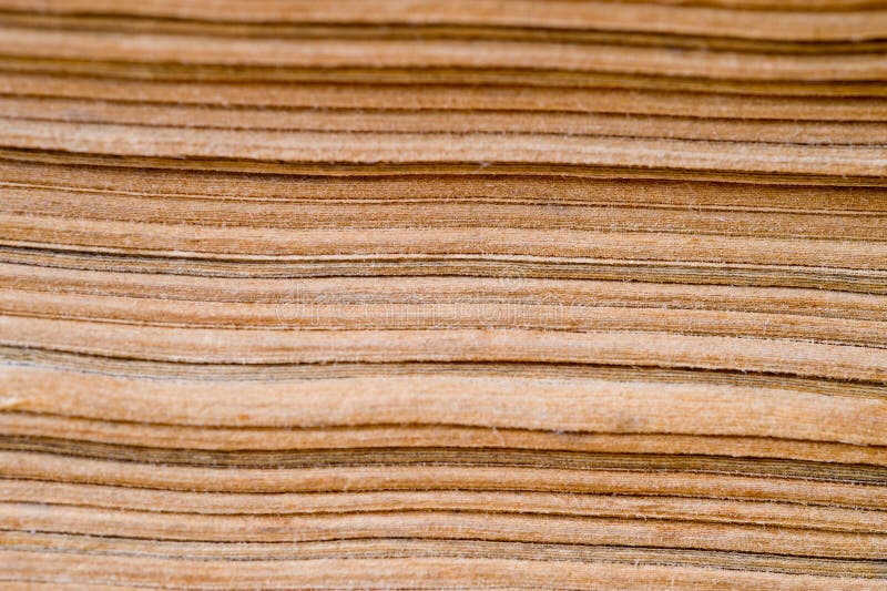 An Old Book with Yellowed Pages and a Battered Cover. Background for ...