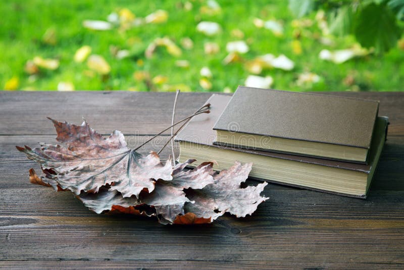 Old Books with Brown Maple Leaves Stock Image - Image of leaves, book ...