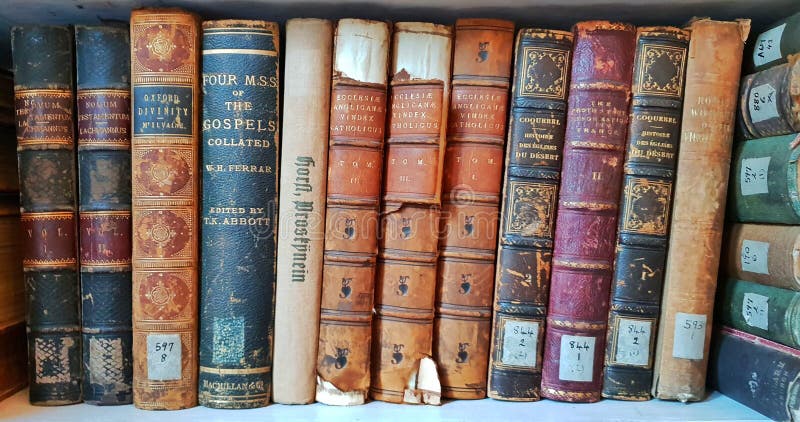 Library shelves editorial image. Image of child, brown - 28156235