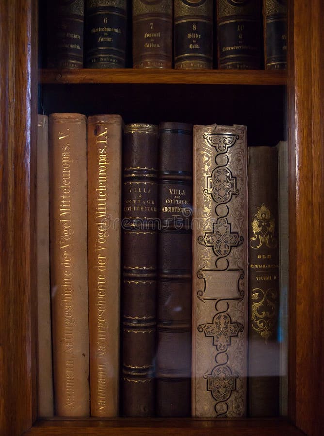 Old books in a old library editorial stock photo. Image of thesaurus ...