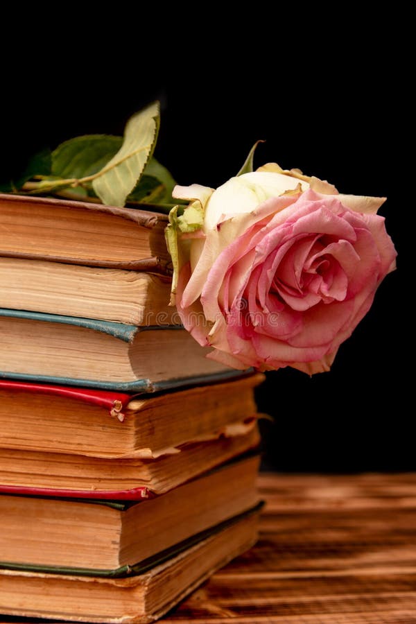 Old Books with Rose Flower on a Black Background Stock Photo - Image of ...