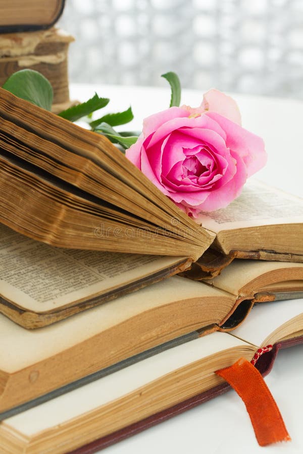 Old books with rose flower stock photo. Image of education - 71523270