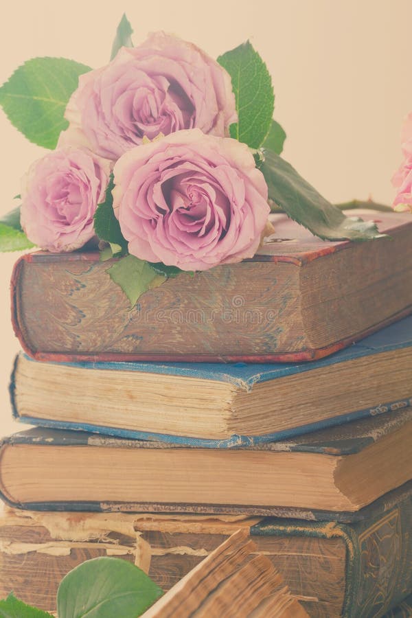 Old books with rose flower stock image. Image of note - 71443655