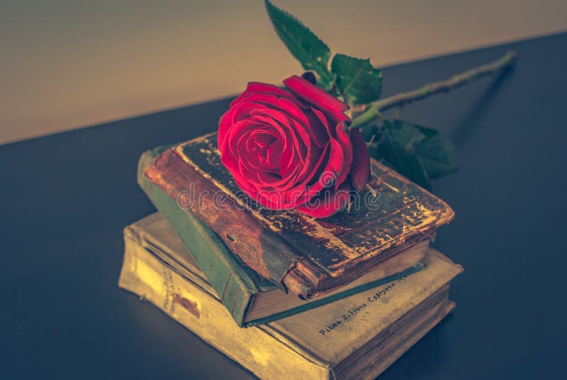 Old books and rose stock photo. Image of floral, beautiful - 56076366