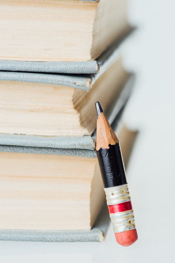 Perfect Side of the Road with Fresh Green Grass Stock Photo - Image of ...