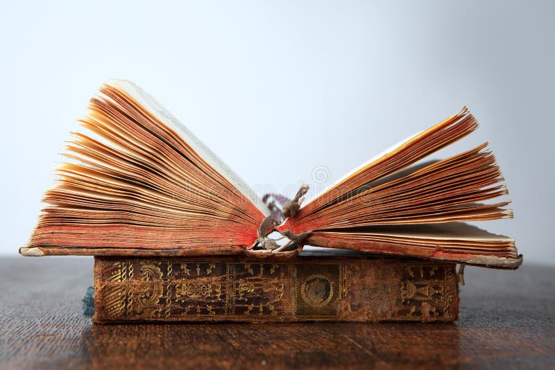 Old books on the table stock photo. Image of books, wooden - 21212332