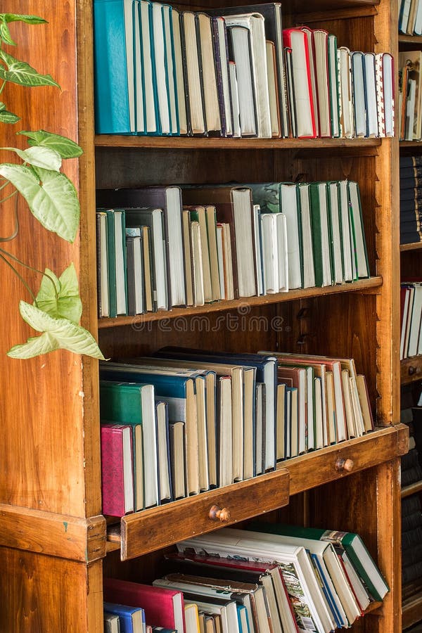 Old Books on a Wooden Shelf Stock Image - Image of cover, wisdom: 93533901