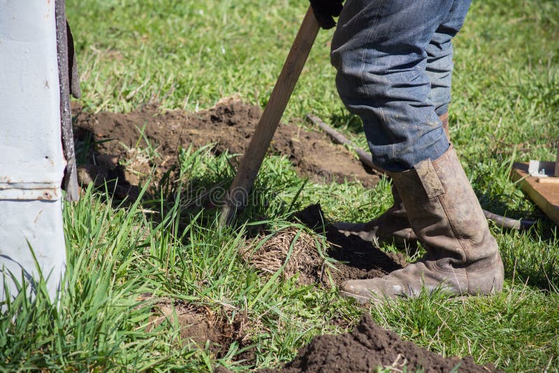 In Old Boots Digging a Hole Stock Photo - Image of outdoor, grass: 70884890