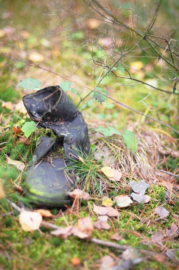 Old boots in the woods stock image. Image of woods, boots - 36173209