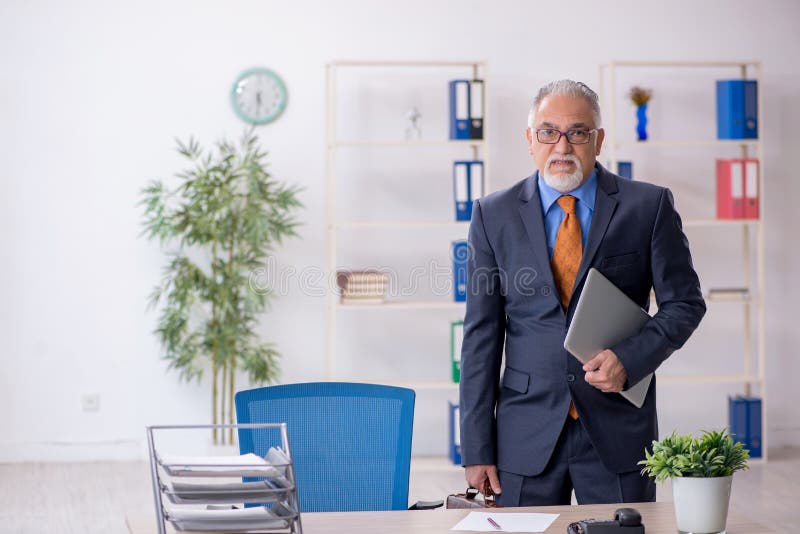 Old Boss Working in the Office Stock Photo - Image of business ...