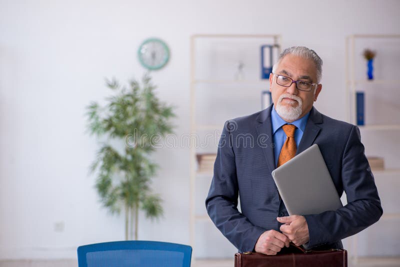 Old Boss Working in the Office Stock Image - Image of internet, desk ...